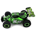 Cheetah King Remote Control RC Buggy Car 2.4 GHz PRO System 1:16 Scale ...