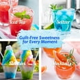 Syruvia Sugar-Free Snow Cone Variety Pack Fruit Punch, Bubble Gum ...