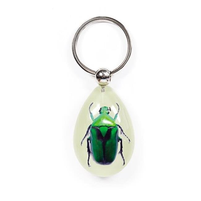 Bug Key Chains