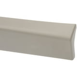 Dorman 925-607 Tailgate Molding for Specific Ford / Lincoln Models ...