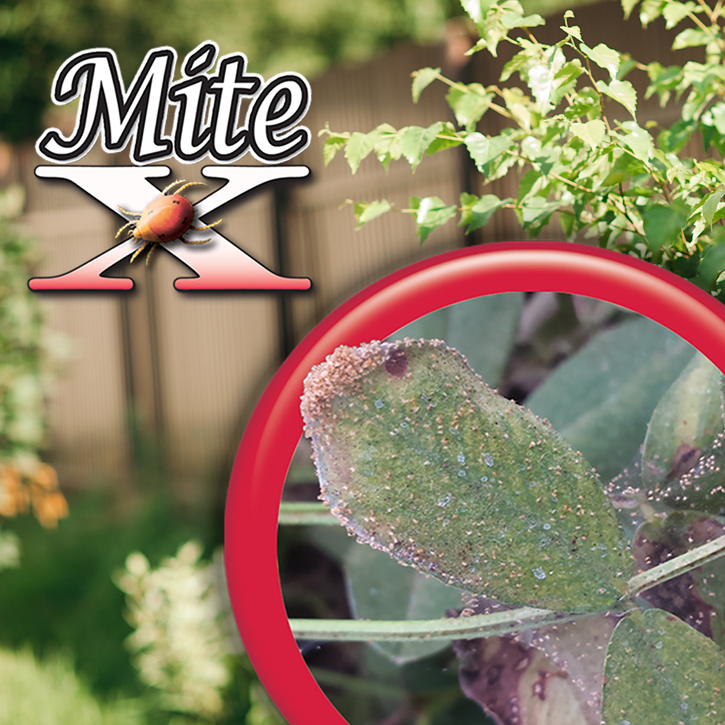 Bonide Mite-X 32 oz Ready-to-Use Spray For Indoor and Outdoor Insect ...