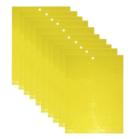 cueiha Indoor/outdoor Double-sided Yellow Sticky Traps For Flying Plant ...