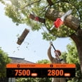 Gas Powered Pole Saw,26CC Extendable Reach to 9.8FT,2 Cycle Powerful ...