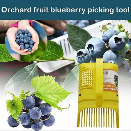 Fruit Picker Portable Berry Picker Comb Rakes For Blueberries ...