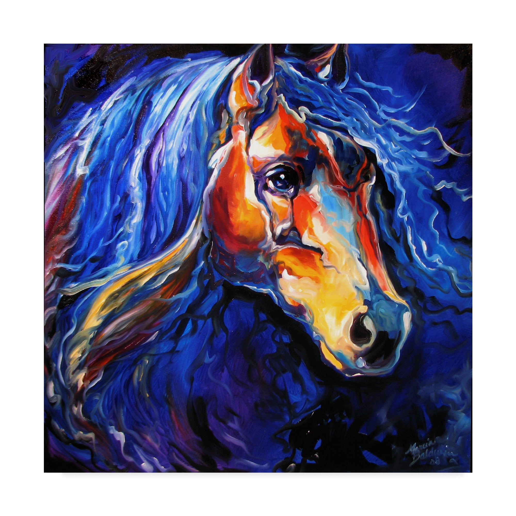 Trademark Fine Art 'Friesian Night' Canvas Art by Marcia Baldwin ...