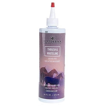Horse Health Reducine 16oz - Walmart.com