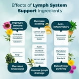 PureHealth Research Lymph System Support Supplement, Lymphatic Cleanse ...