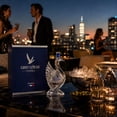 30th Anniversary 1996-2026 3D Grey Goose Whisky Bottle, 350ml Unique ...