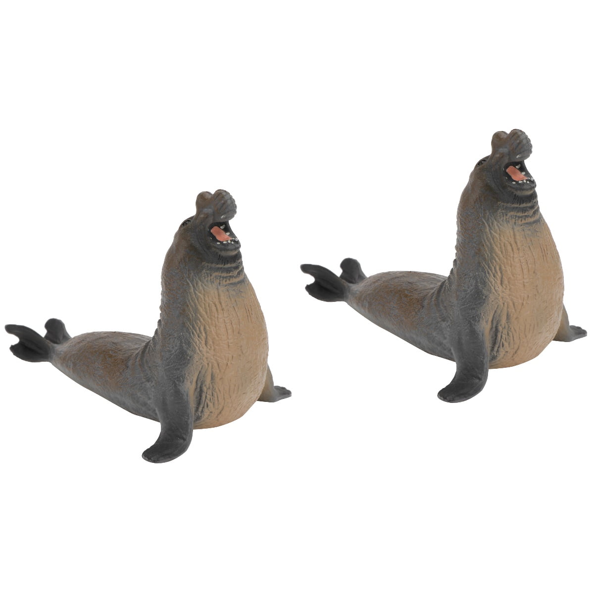 Walrus Vs Elephant Seal