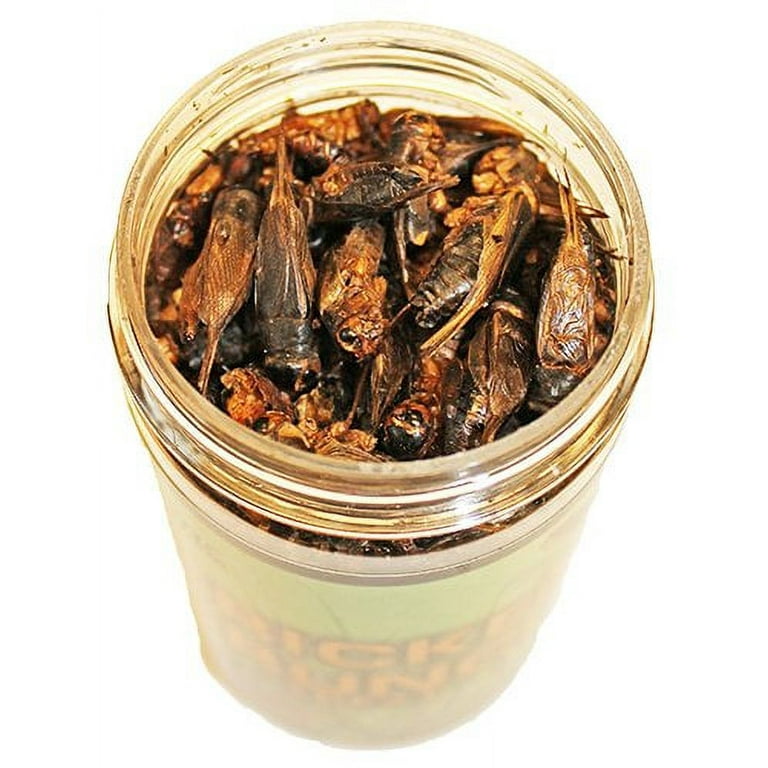 Hedgehog And Sugar Glider Treats Dried Mealworm Treats 1.9 Oz - High ...