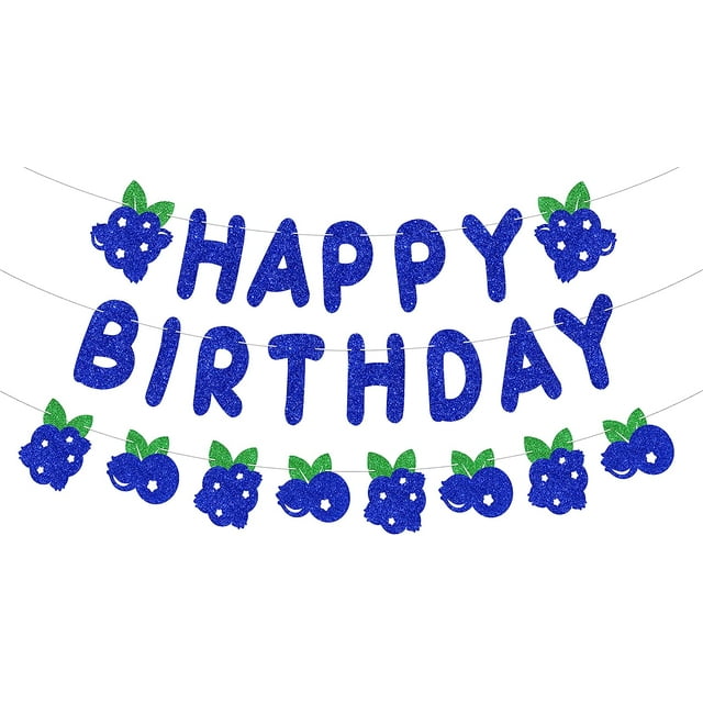 Blueberry Birthday Party Decorations for Girls Blueberry Happy Birthday ...