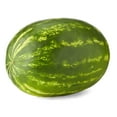 Fresh Seeded Watermelon, Each - Walmart.com