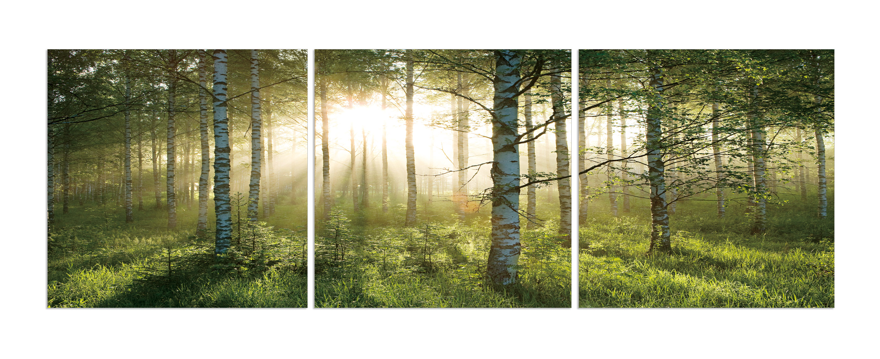 3 Panel Photo Big Canvas Wall Art - Enchanted Forest - 3 Panel Canvas ...