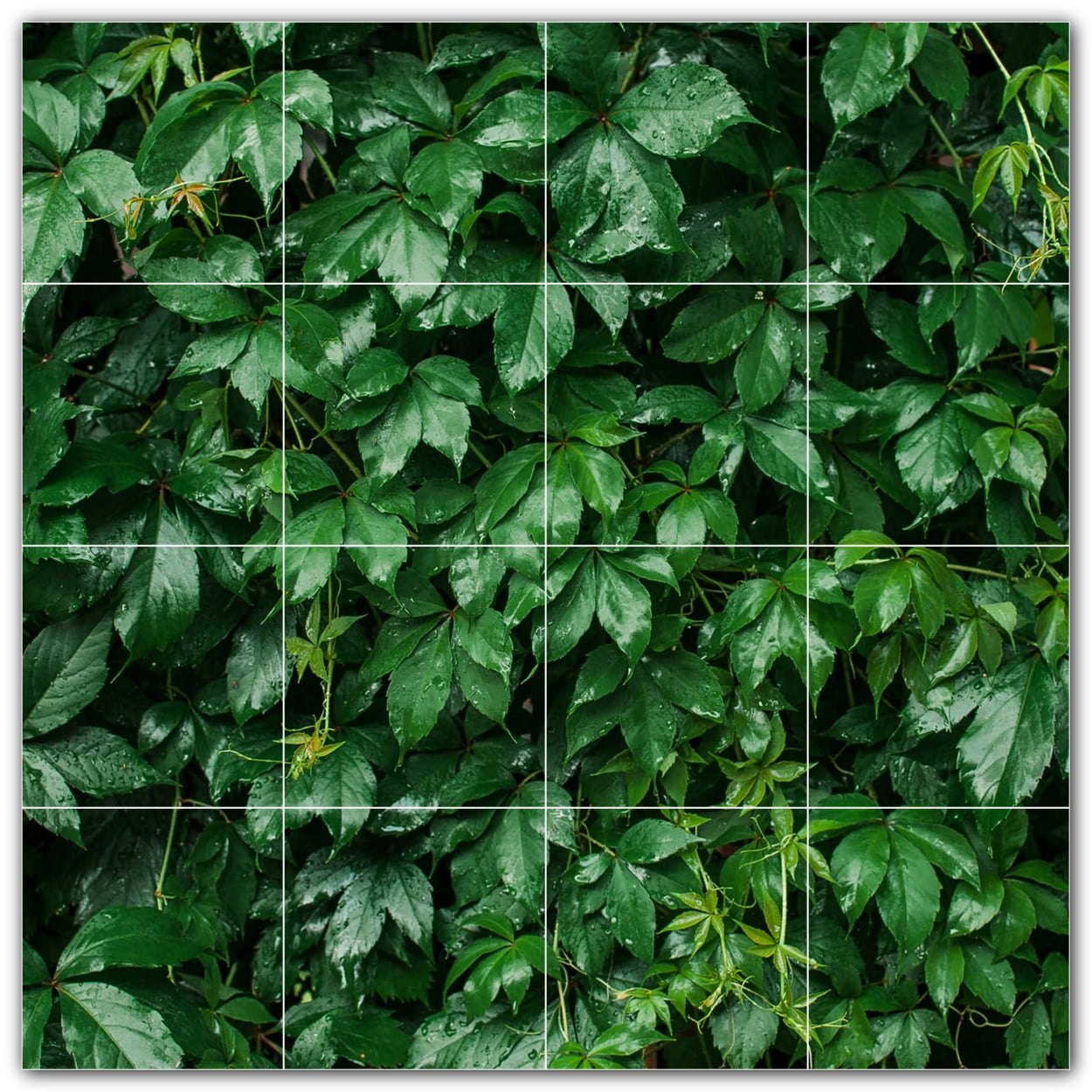 Picture-Tiles.com: Trees Ceramic Tile Wall Mural WAL501006-44L. 32"W x ...