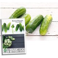 Golden X Bantom Corn Seeds, 50 Heirloom Seeds Per Packet, Non GMO Seeds ...