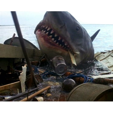 Jaws Susan Backline 24x36 Classic Hollywood Poster - Walmart.com