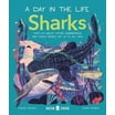 Shark Lady: The True Story of How Eugenie Clark Became the Ocean's Most ...