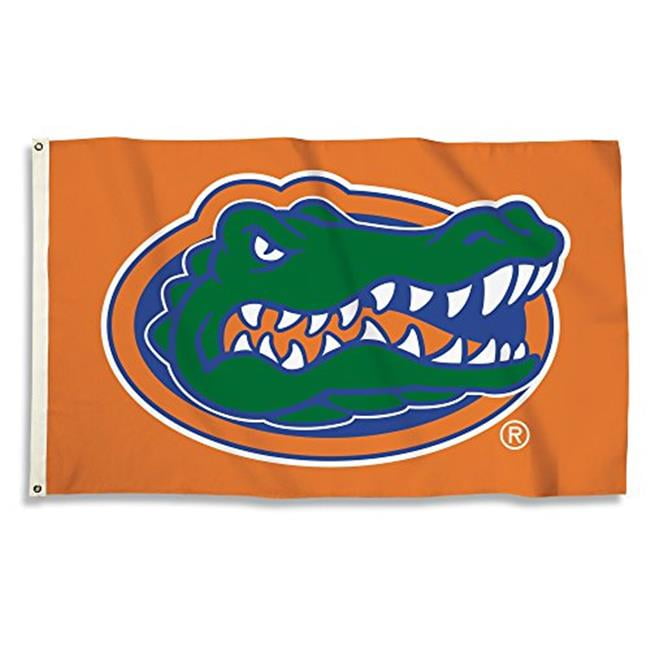 BSI Products 23009 NCAA Florida Gators Flag with Grommets - 3 x 5 ft ...