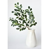 Silk Italian Ruscus Stem - 26" Tall - Walmart.com