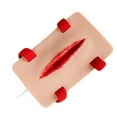 Wound Packing Trainer Model Arresting Bleeding Practice Model Simulated ...