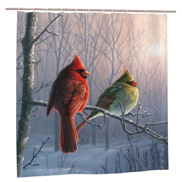 Cardinal Showers