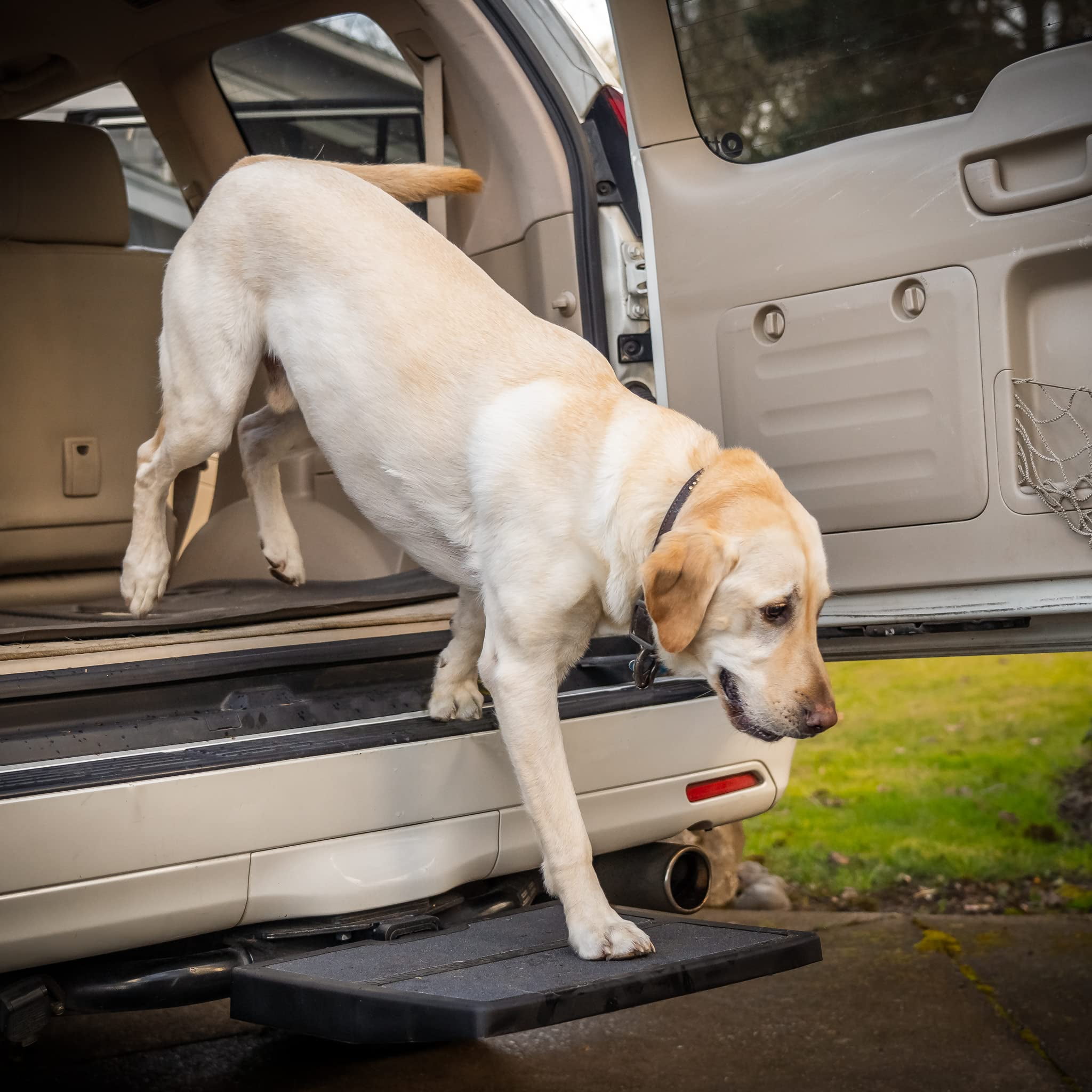 Pet Ramp Step Otto Step ayuda a los perros a entrar y salir del coche ...