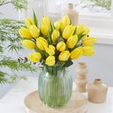 Garden State Bulb Darwin Hybrid Yellow Impression Tulip Flower Bulbs ...