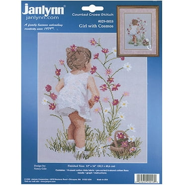 Janlynn Counted Cross Stitch Kit 8"X10"-Wildflower Jar (14 Count ...