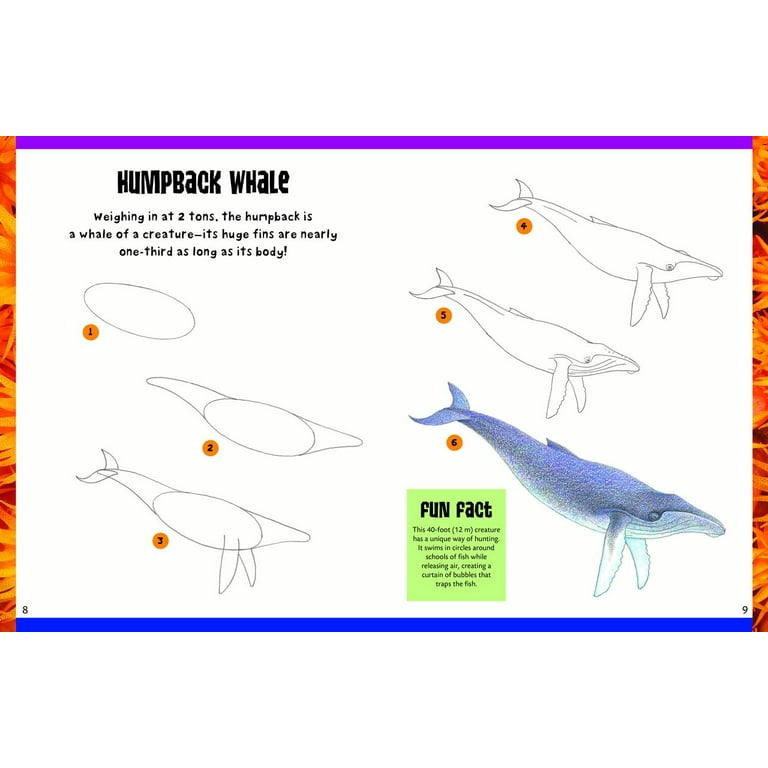 Fun 2 Draw Sea Animals