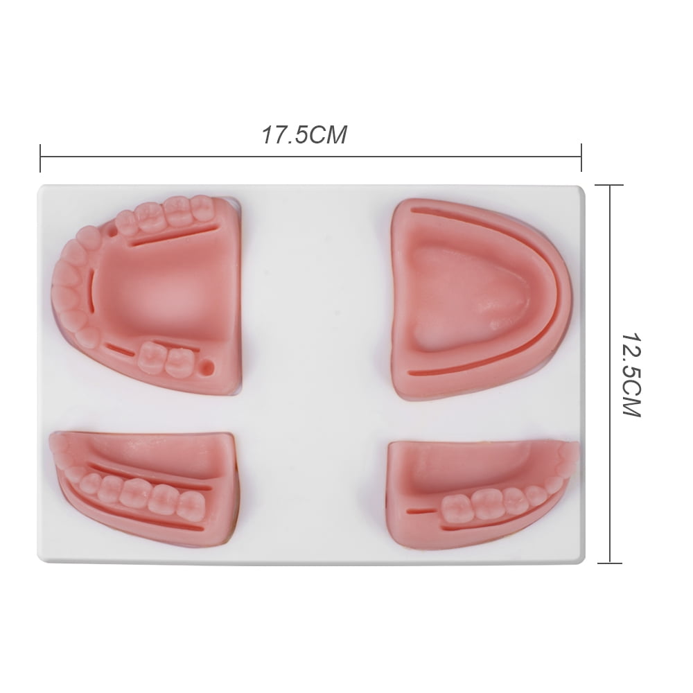 Buy Surgical Oral Suture Practice Kit Dental Suture Kits for Students ...