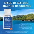 OmegaXL, Supplement Green-Lipped Mussel Oil - 120 Softgels - Walmart.com