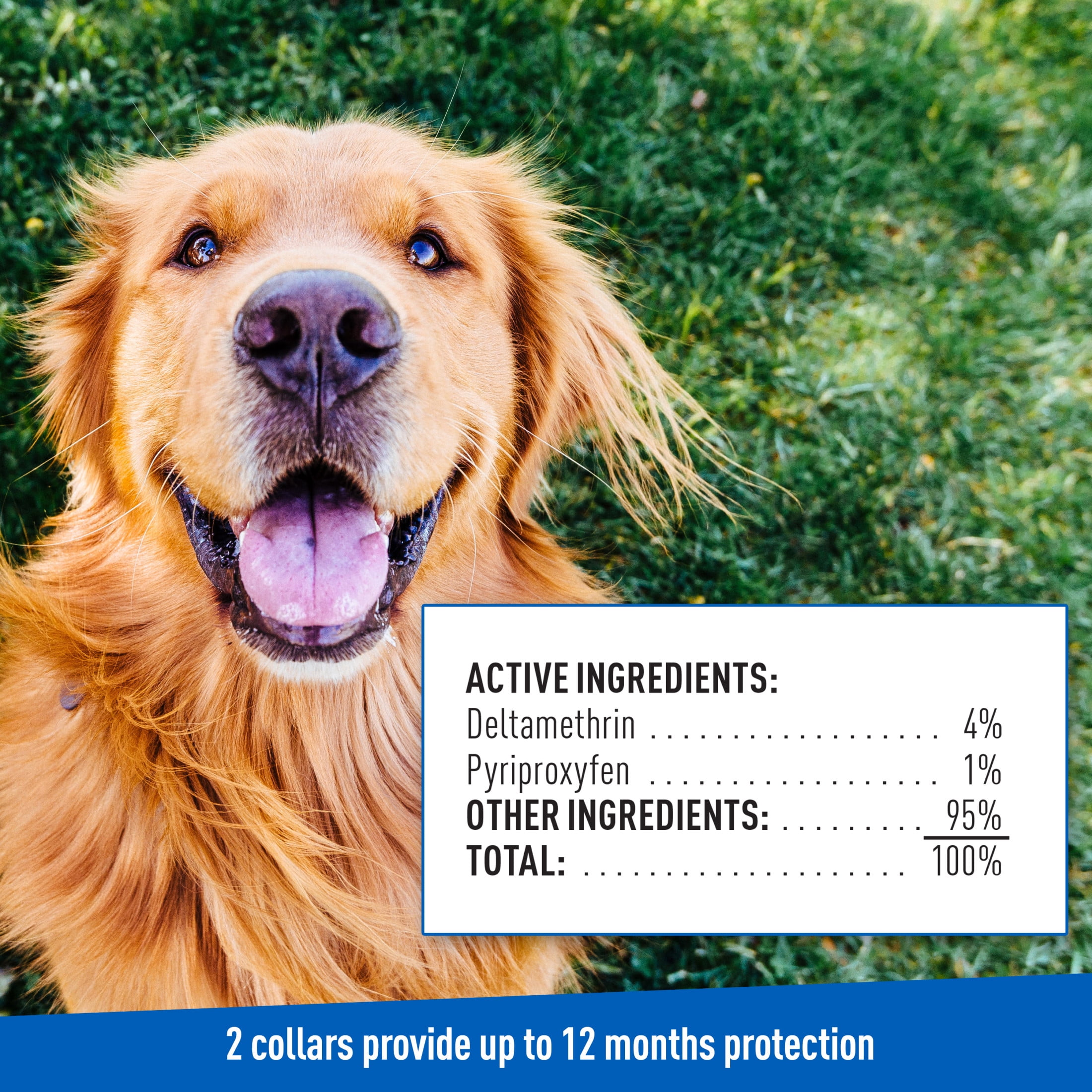 Adams Collar Antipulgas y Garrapatas Plus para Perros y Cachorros 2Uds