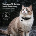 Cat Tracker Collar for Small Cats - Real Time Cat GPS Tracker No ...