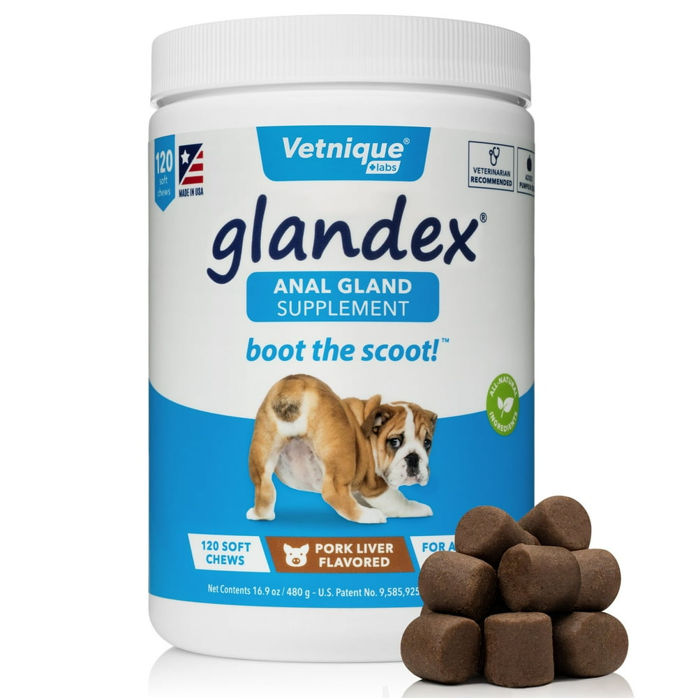Glandex Anal Gland Soft Chew Treats with Pumpkin for Dogs 120ct Chews with Digestive Enzymes ...