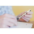Zebra V-301 Stainless Steel Fountain Pen with Bonus Refill, Fine Point ...