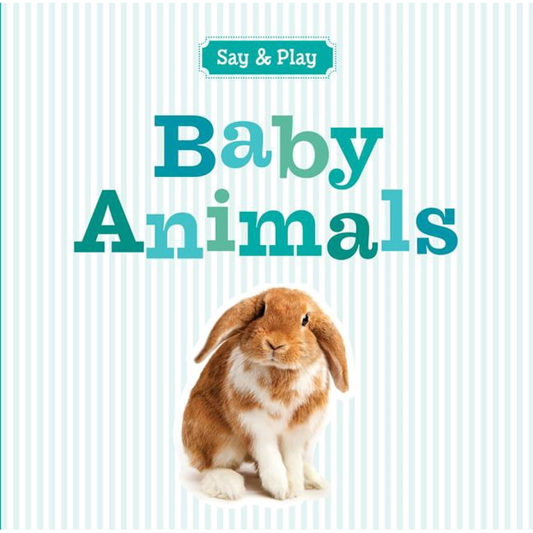 Baby Animals Playing Together