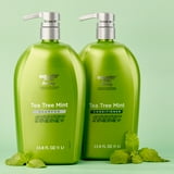 Equate Beauty Moisturizing Nourishing Daily Conditioner with Tea Tree ...