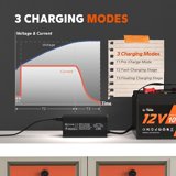 LiTime 12V 20A Lithium Battery Charger, 14.6V LiFePO4 Smart AC-DC ...