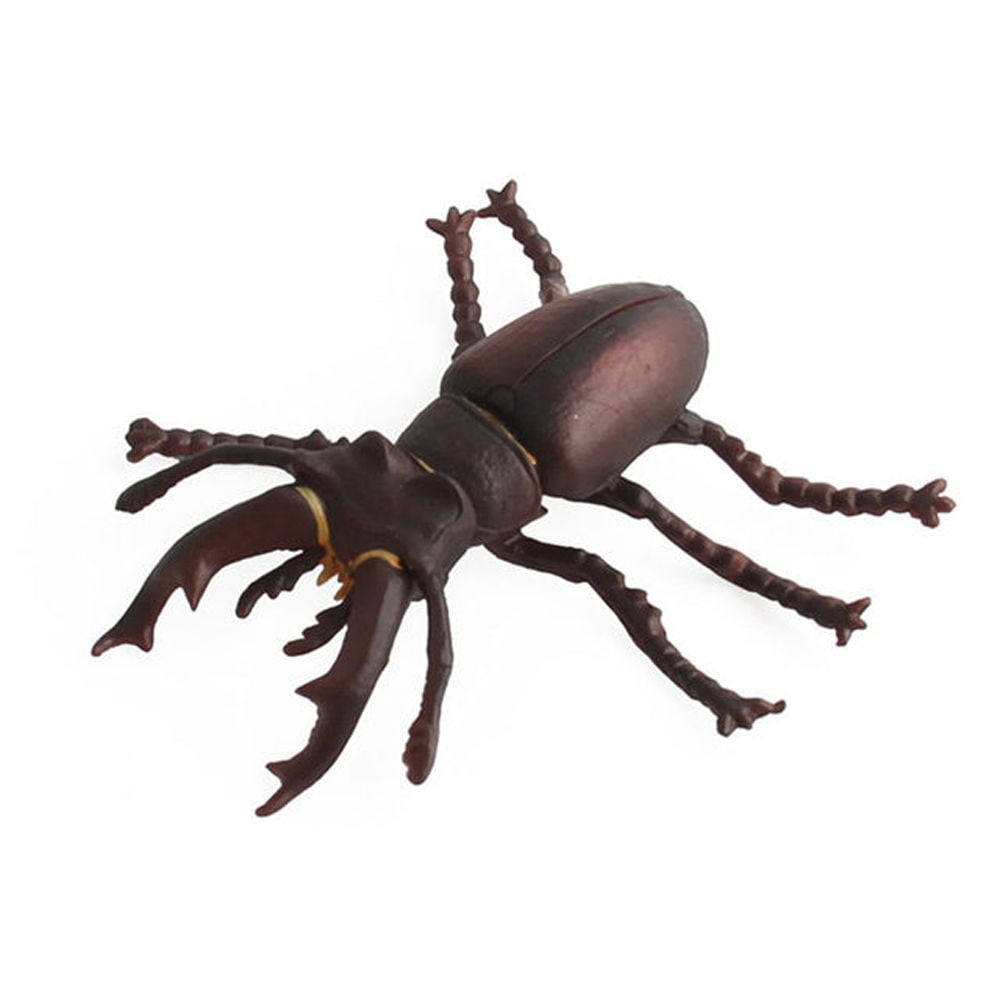 Plastic Educational Resource Beetle Model Model Toys Bee Model Science ...