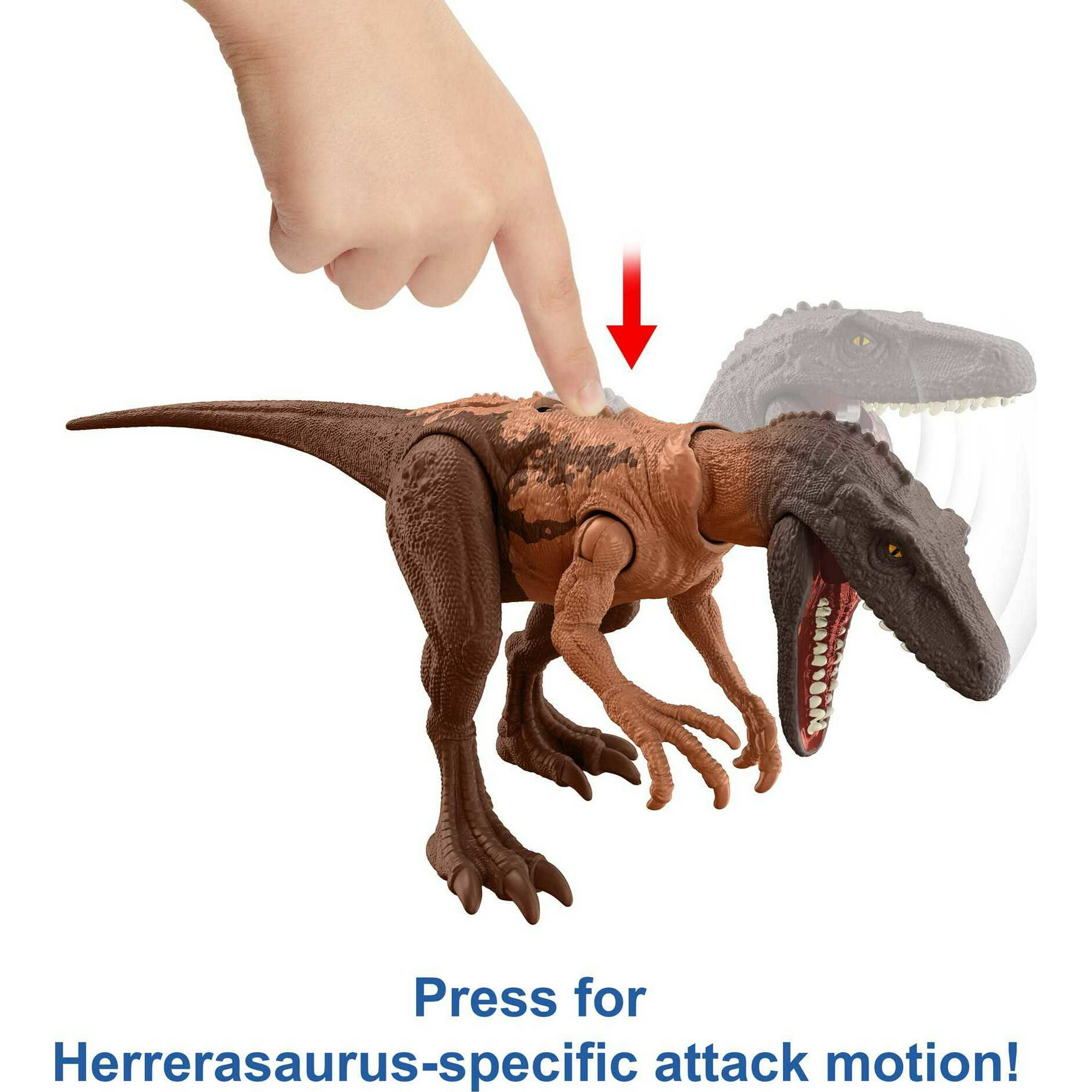 Herrerasaurus Size