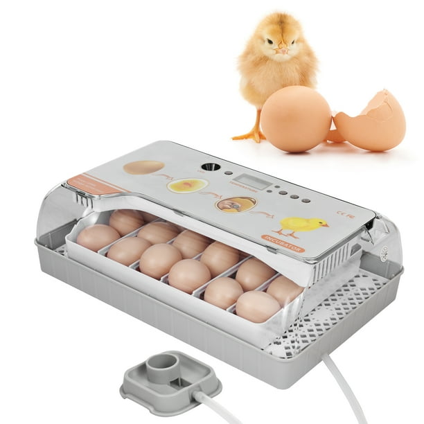 Amdohai Digital Egg Incubator 20 Eggs Poultry Hatcher with Auto Egg ...
