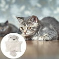 Interactive Flying Squirrel Pet Toy for Cats and Dogs with Rattle Sound ...