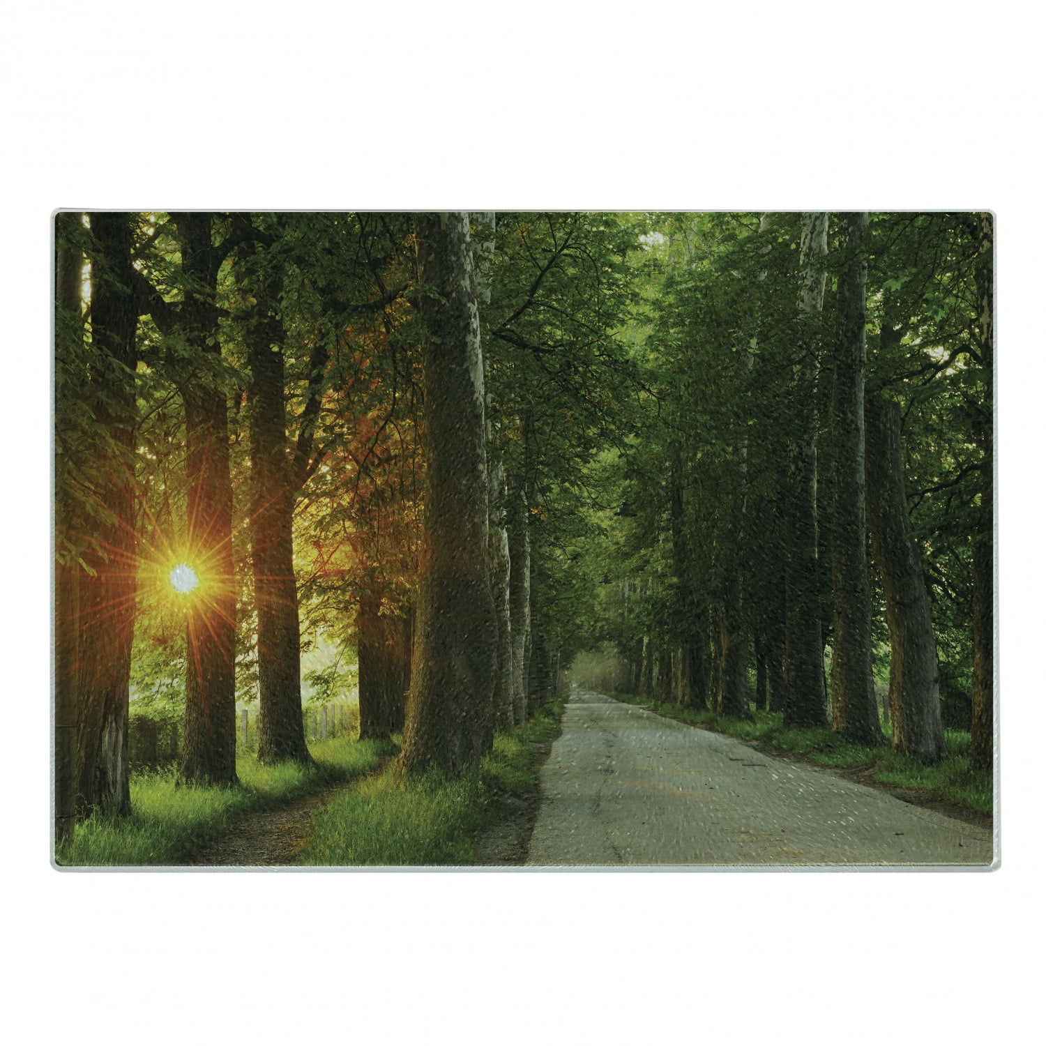 Nature Cutting Board, Fresh Idyllic Morning Scenery Woods with Rising ...