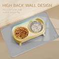 Elevated Cat Bowl Set with Mat, 2 Stainless Steel Bowls Anti-Splash ...