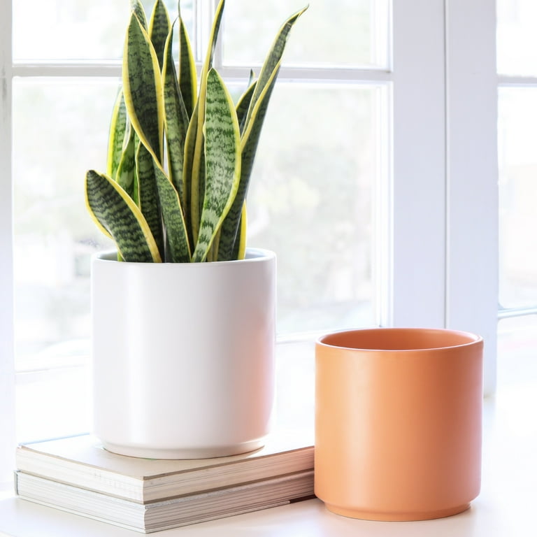 Modern Ceramic Pots