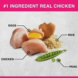 Pure Balance Pro+ Kitten Food with Chicken Dry Cat Food 7 lbs, DHA for ...