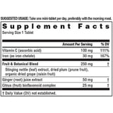 Complete Iron Supplement with Vitamin C and Ginger | 60 Vegan Mini ...