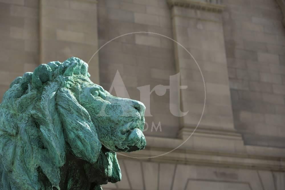 Detail of One of the Art Institute Lions outside the Art Institute of ...