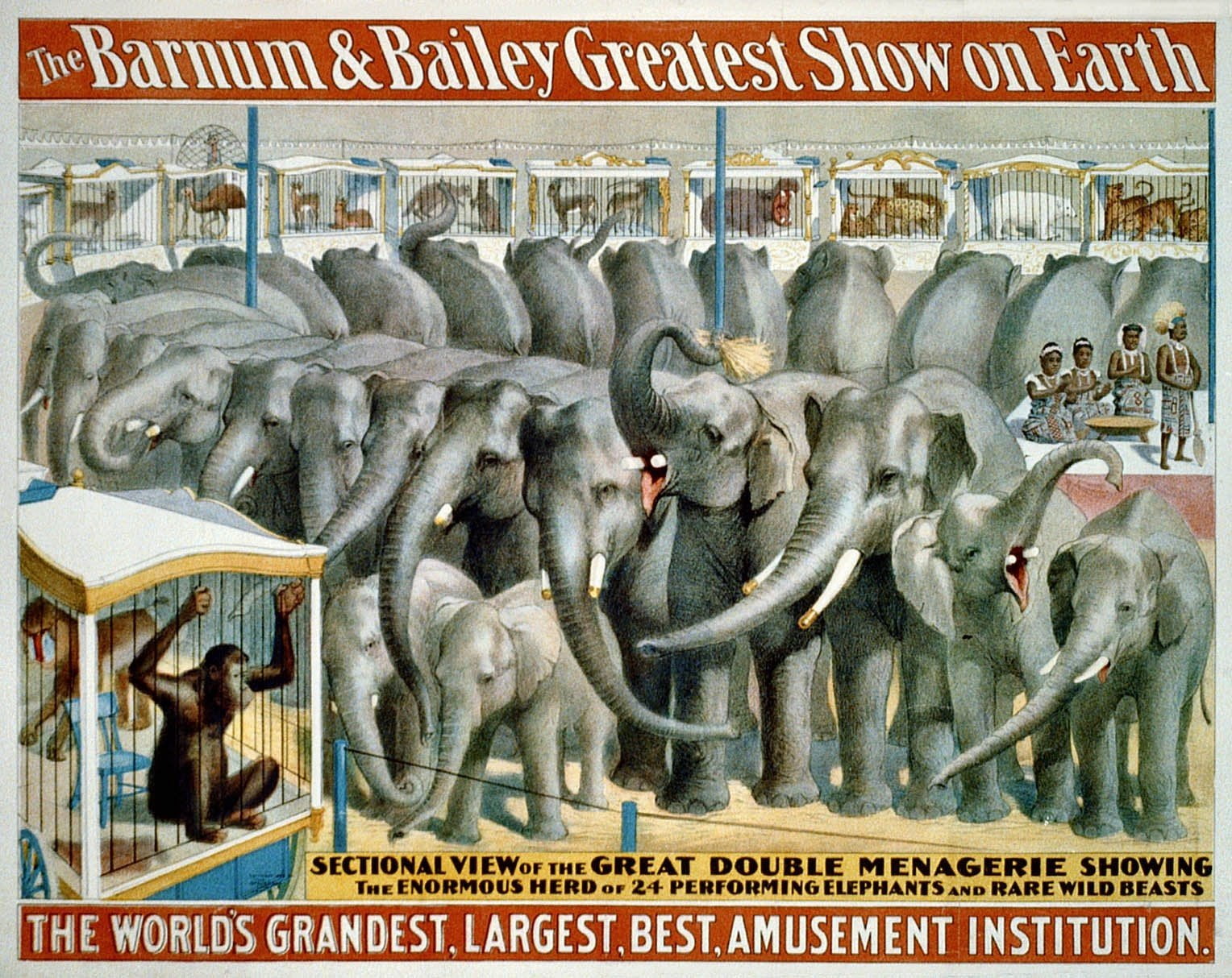 Buell "Barnum & Bailey" 1895 Elephant Glossy Poster - Walmart.com