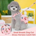 Dinheiro Small Dog Dress Harness and Leash Set Cute Princess Birthday ...